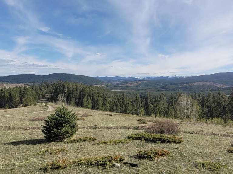 Braggin' Rights & Merlin View Loop | mountain bike ride | Komoot