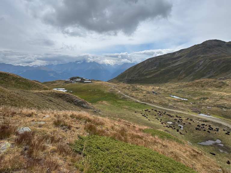 Randonnée Alpine de Verrogne au Col Fenêtre (via Sentier CAI 11 ...