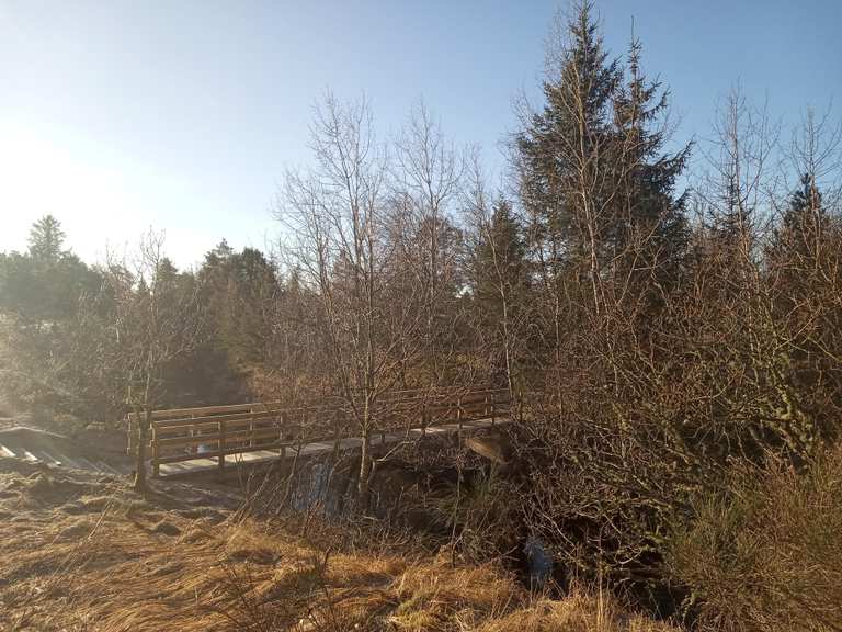 Bridge Over the Stream – Hiking & Cycling Routes | Komoot