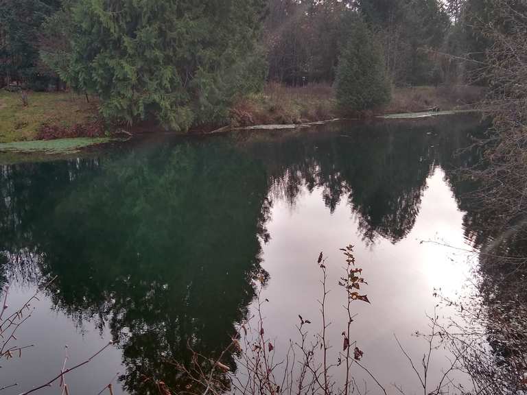 H.J. Biddle Nature Preserve & East Lake Biddle Park loops via Cedar ...