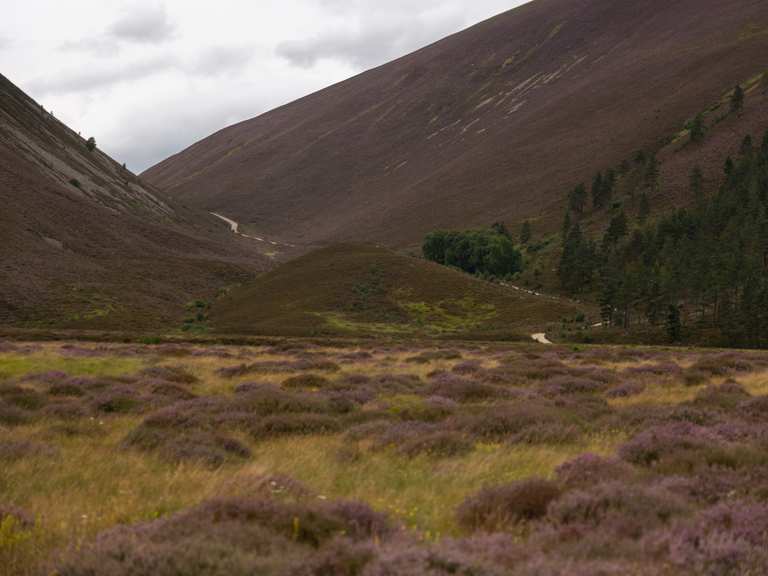 Bottom of the Glen Feshie Descent – Cycling Routes & How to Get There ...