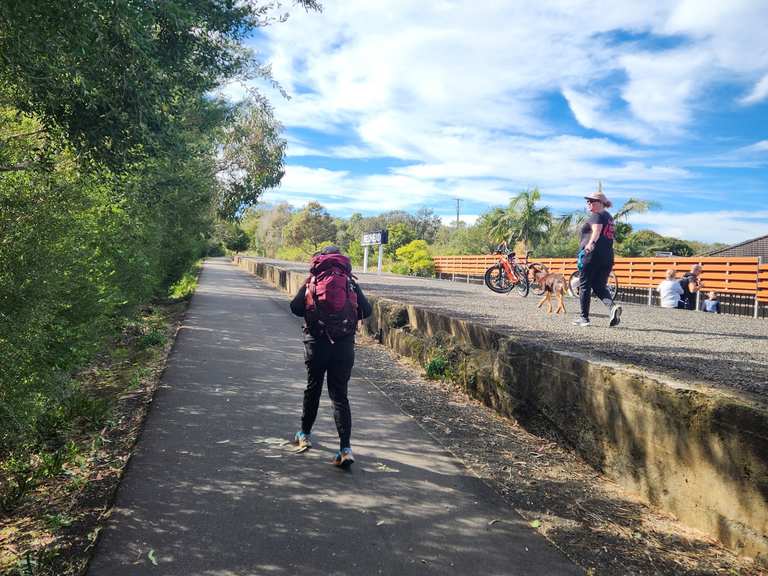 Fernleigh Track - Routes for Walking and Hiking | Komoot