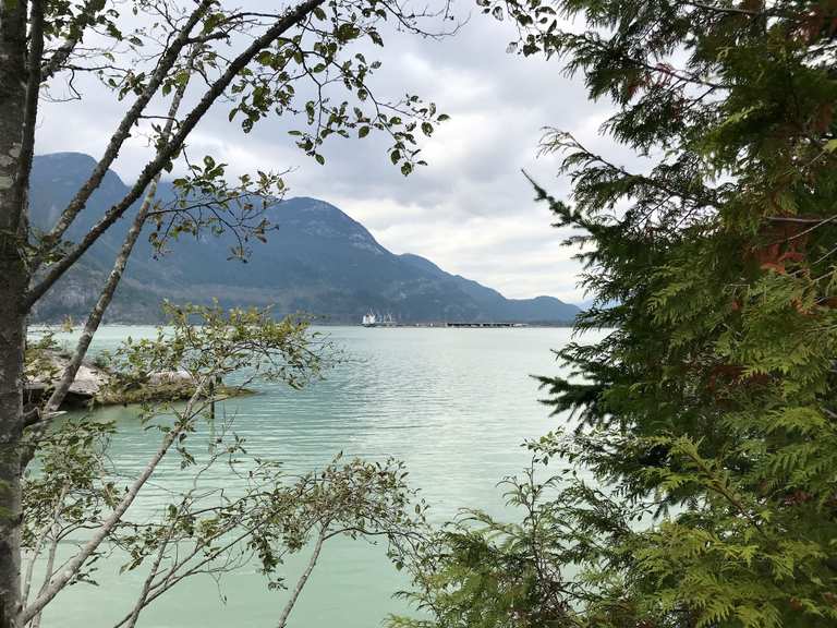 Echo Lake Trail loop — Skwelwil'em Squamish Estuary Wildlife Management ...