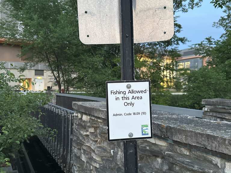 Ponte di Willow Creek – Madison Park and Pleasure Drive Association ...