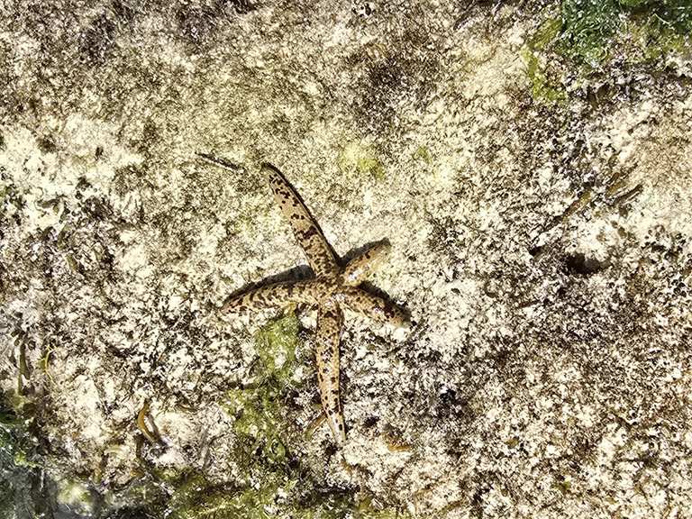 African Pool, Tiwi Beach – Wandelingen & Hoe er te komen | Komoot