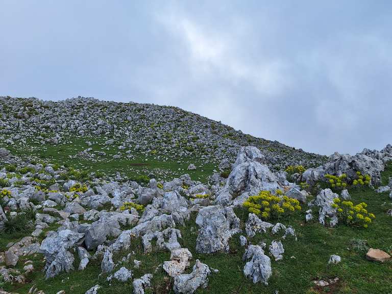 Cresta cerca de Mandra Nivrea: Rutas de senderismo y caminatas | Komoot