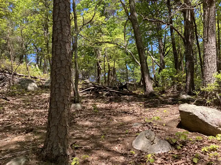 Crowders Mountain and The Pinnacle loop via Pinnacle Trail — Crowders ...