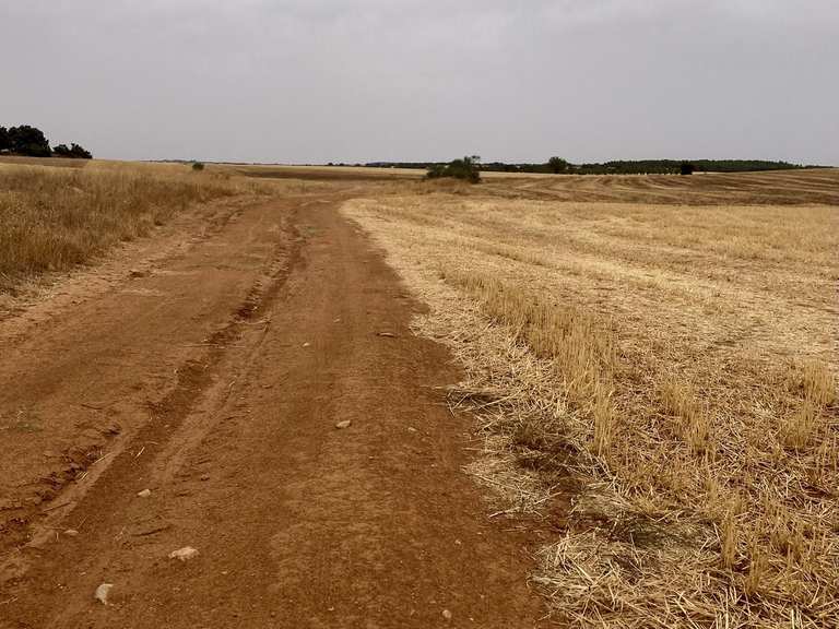 Droga gravelowa z Mondéjar do Orusco de Tajuña – trasy MTB | Komoot