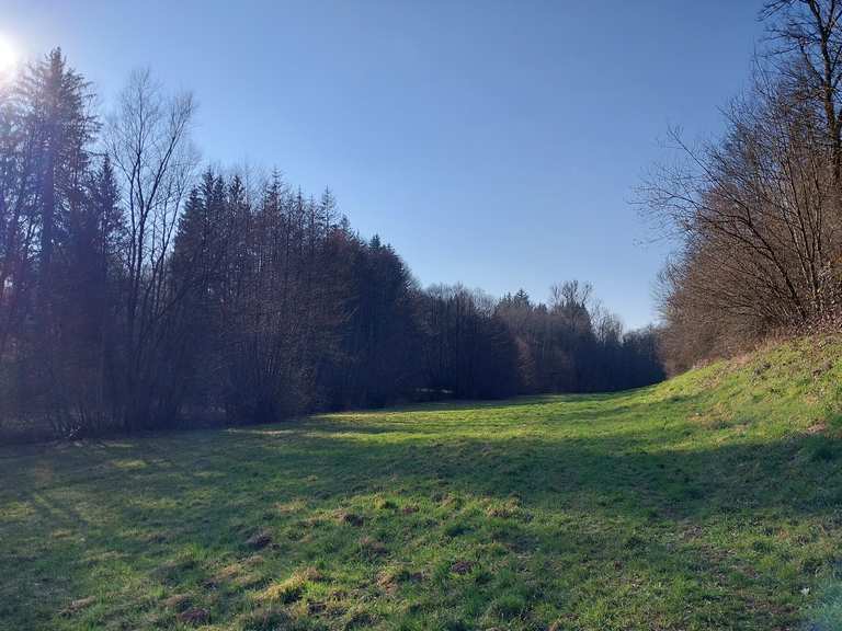 Path across a meadow Routes for Walking and Hiking | Komoot