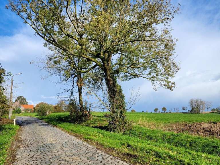 Klettern am Eikenberg: Rennradfahren und Rennradtouren | komoot