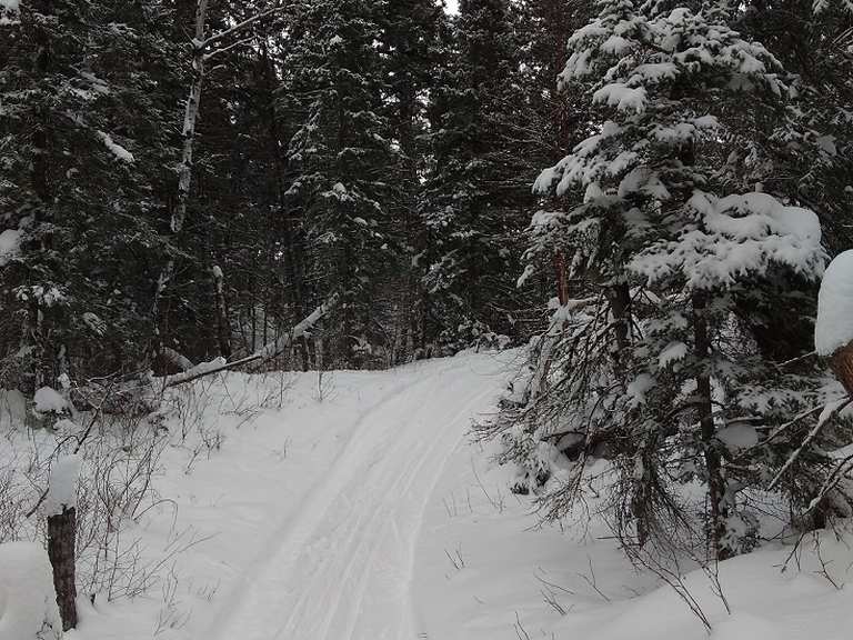 Fire Tower Trail & Front 10 Trail loop — Duck Mountain Provincial Park ...