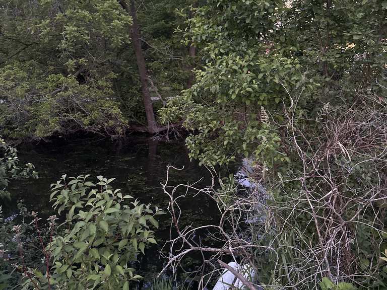 Ponte di Willow Creek – Madison Park and Pleasure Drive Association ...