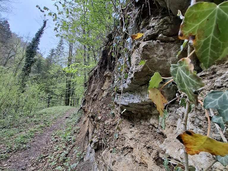 Aletental: Wanderungen und Rundwege | komoot