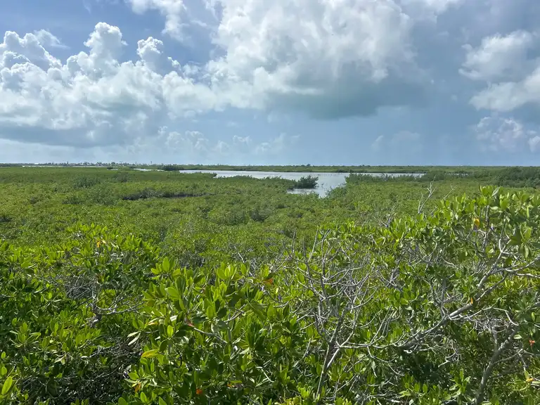 Florida Keys Overseas Heritage Trail - Boca Chica Key: Wanderungen und ...