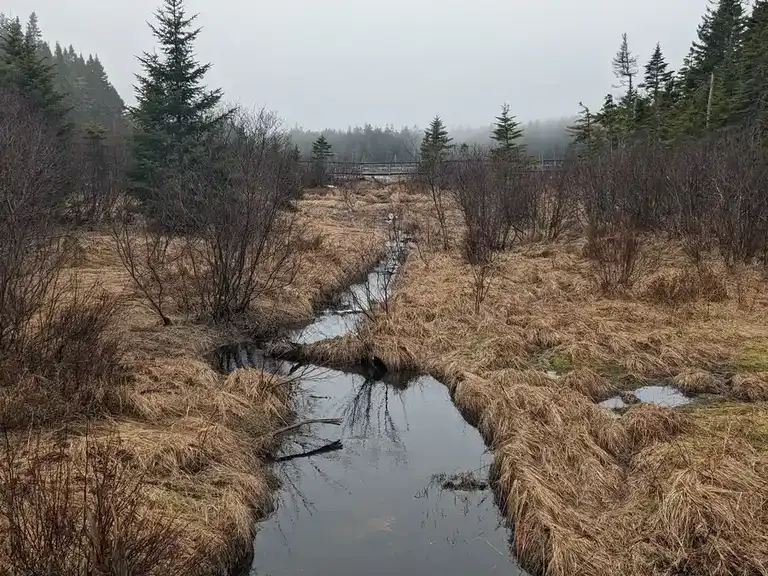 Sussex Nature Trail loop — Sussex | wandeling | Komoot