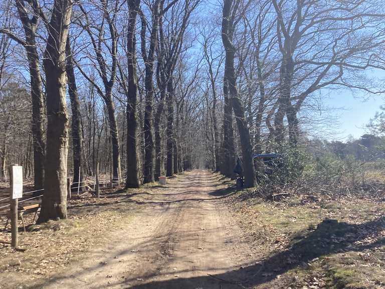 Sandweg von der Koningsweg in der Veluwe: Radtouren und Radwege | komoot