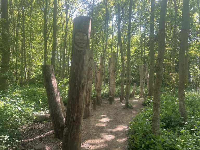Réserve naturelle De Hoge Dijken (Roksemput) - Itinéraires vélo et ...