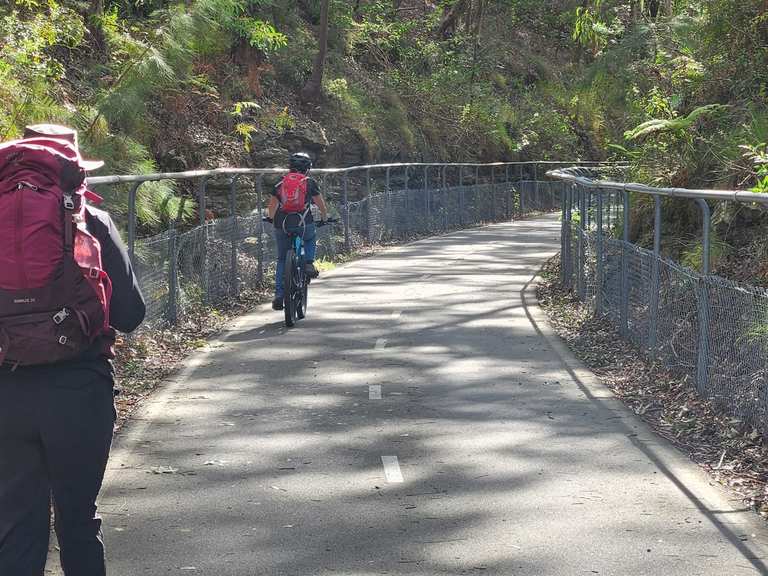 Fernleigh Track - Routes for Walking and Hiking | Komoot