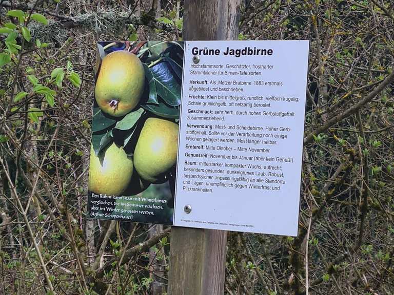 Lehrpfad Zillhausen Streuobstwiese: Wanderungen und Rundwege | komoot