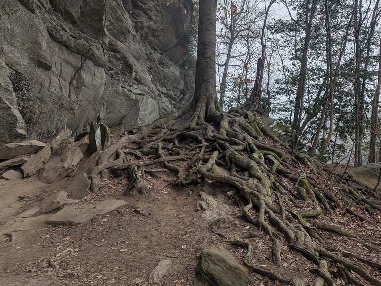 Raven Rock: Rutas de senderismo y caminatas | Komoot