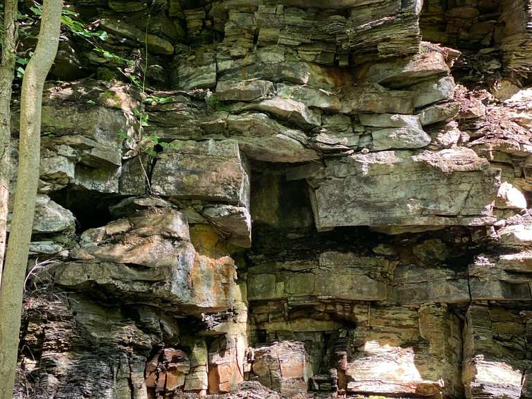 Réserve naturelle de Silverfallet-Karlsfors - Itinéraires de rando et ...
