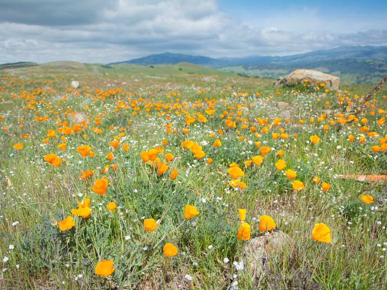 Abschnitt 19: Coyote Reservoir zu Máyyan 'Ooyákma – Coyote Ridge Open ...