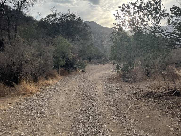 Mirador de la Roca en el parque natural San Carlos de Apoquindo — ida y ...