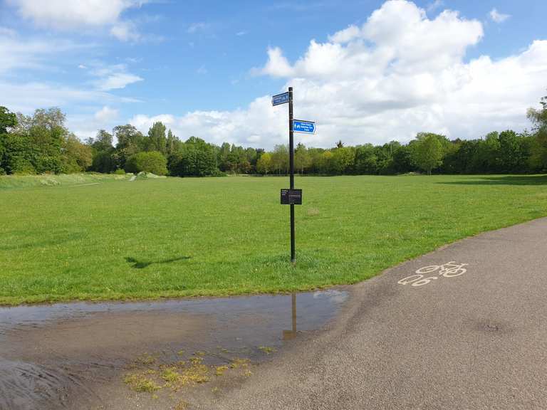 Waldweg – Roding Valley Way : Radtouren und Radwege | komoot