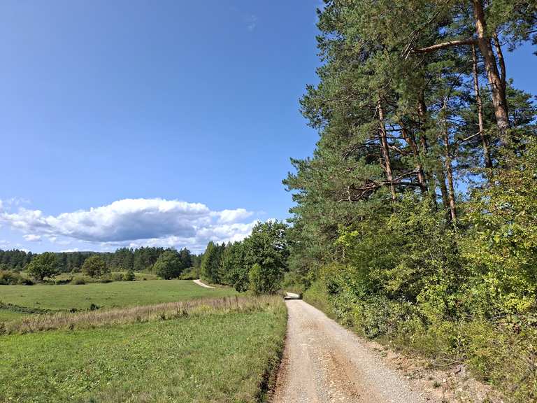 Dubrave Gravel Road - Cycle Routes and Map | Komoot