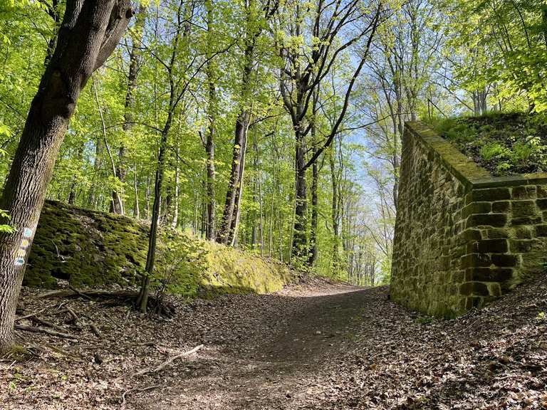 Culée de l’ancienne passerelle en bois de la Windbergbahn - Itinéraires ...