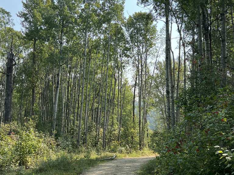 Devon River Valley Trail to Devon Medicine Park loop — Devon Voyageur ...
