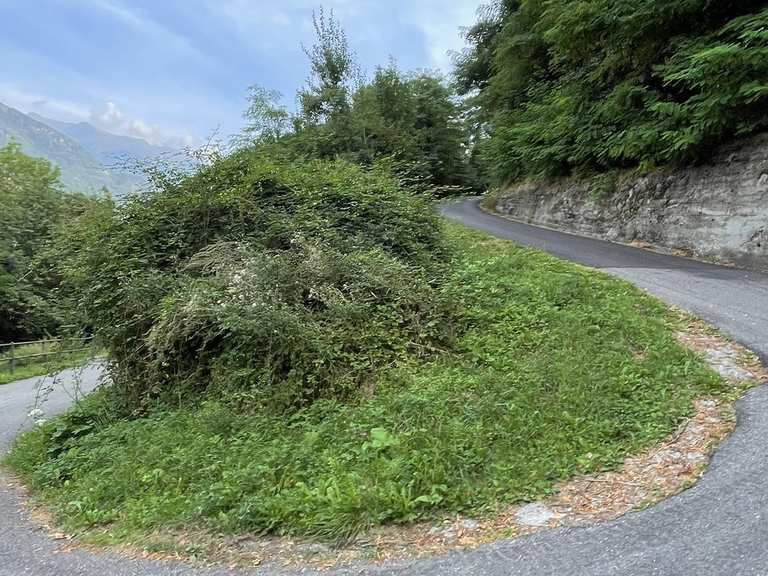 Passo del Mortirolo von der Via Orti in Mazzo di Valtellina ...