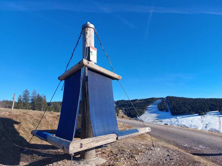 Log swing Routes for Walking and Hiking | Komoot