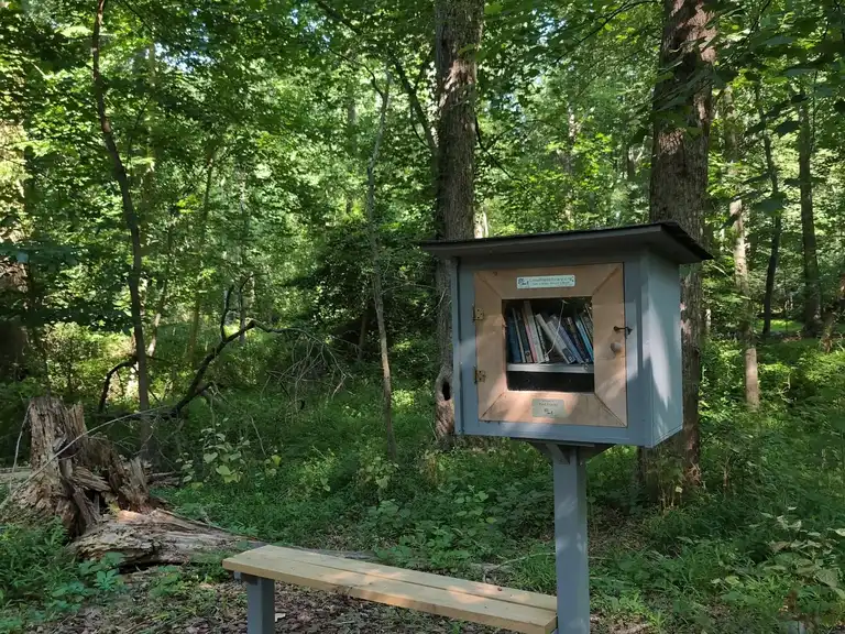 Wayland Street Park Nature Walk — Fair Oaks | run | Komoot