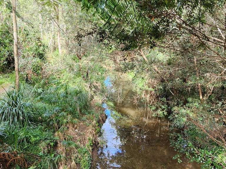 Raven Street Reserve, Milne Hill Reserve & Chermside Hills Reserve loop ...