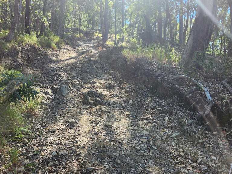 Yarrayne Firebreak Road – Routes & How to Get There | Komoot