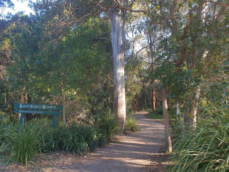 Raven Street Reserve, Milne Hill Reserve & Chermside Hills Reserve loop ...