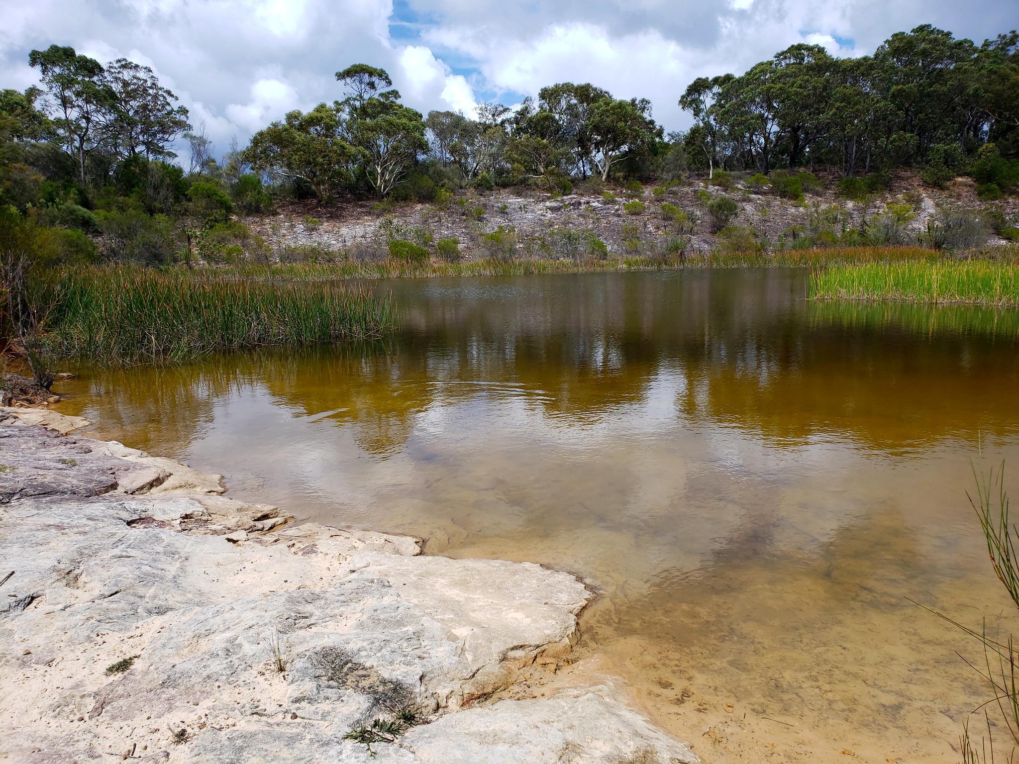 Ausflugsziele im Brisbane Water National Park - Die Top 3 | Komoot