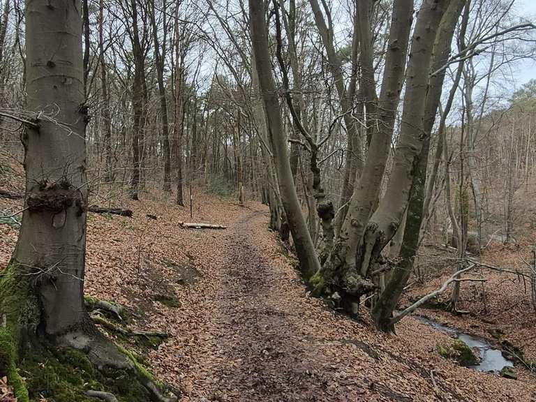 Valley of the Chera and Pouyou Sart Streams - Routes for Walking and ...