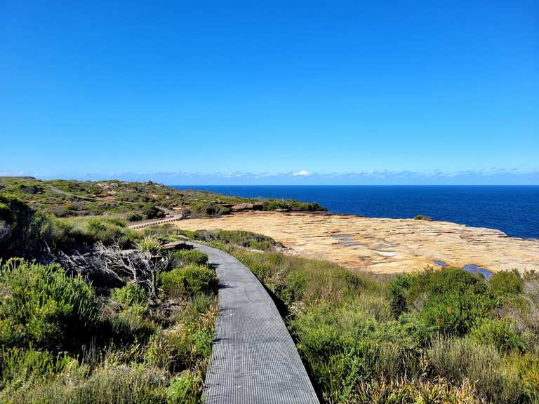 Curracurrong Falls via Curra Moors loop track | wandeling | Komoot