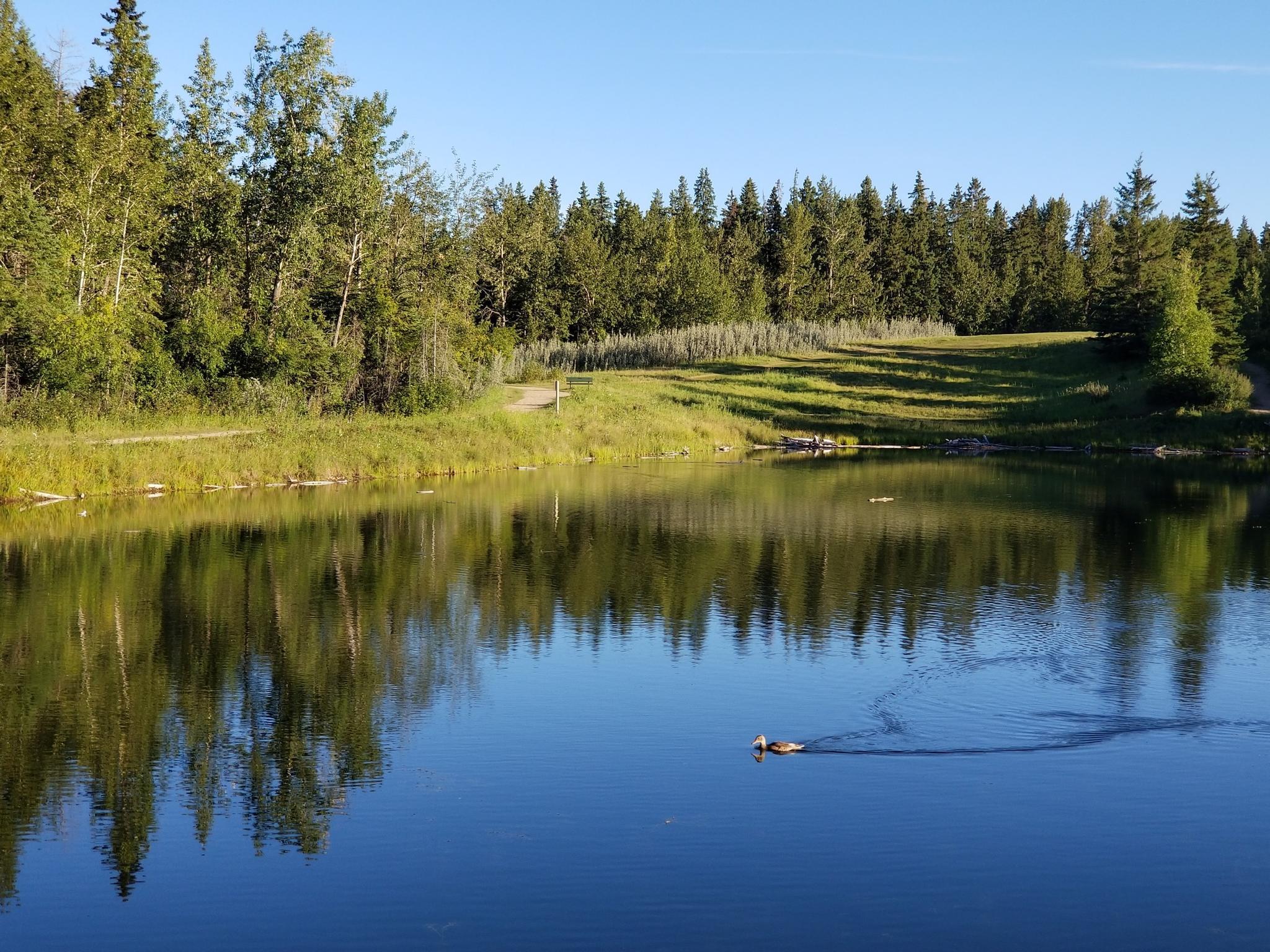 Ausflugsziele rund um Red Deer County - Die Top 2 | Komoot