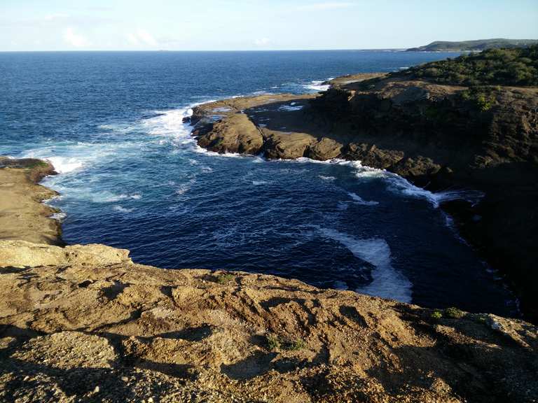 Shark Hole via Catherine Hill Bay Beach | hike | Komoot