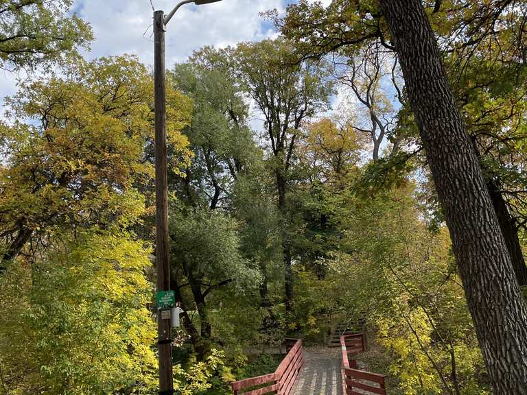 Assiniboine Park, Wolseley & Wellington loop | randonnée pédestre | Komoot