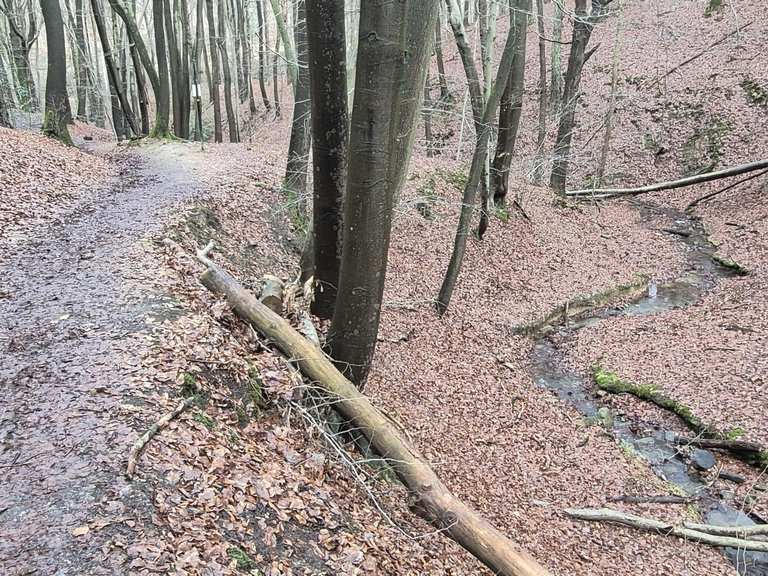 Valley of the Chera and Pouyou Sart Streams - Routes for Walking and ...