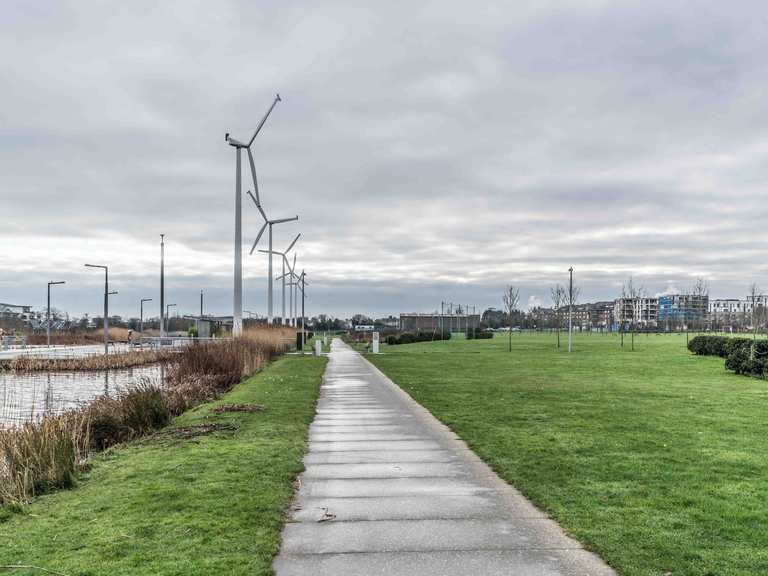 Father Collins Park – Routes & How to Get There | Komoot