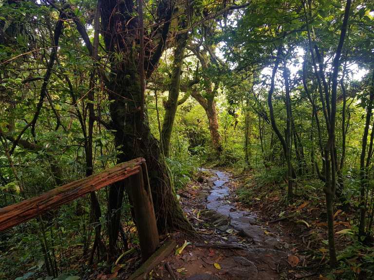 Volcán Mombacho - Sendero Crater - Routes for Walking and Hiking | Komoot
