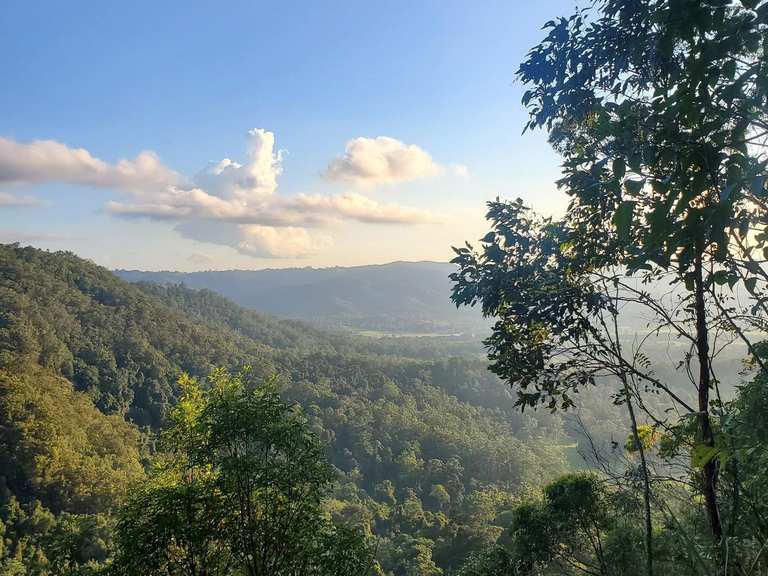Mapleton Falls National Park & Sunshine Coast Hinterland Great Walk ...