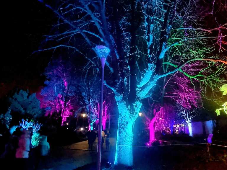 Winter Lights at Luisenpark – Hikes & How to Get There | Komoot