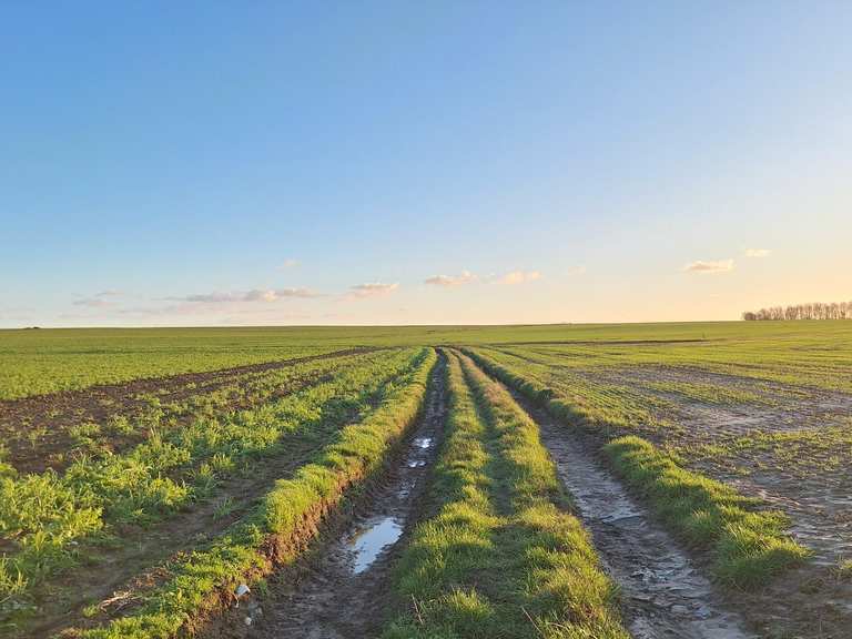 Through the wide-open fields - Routes for Walking and Hiking | Komoot