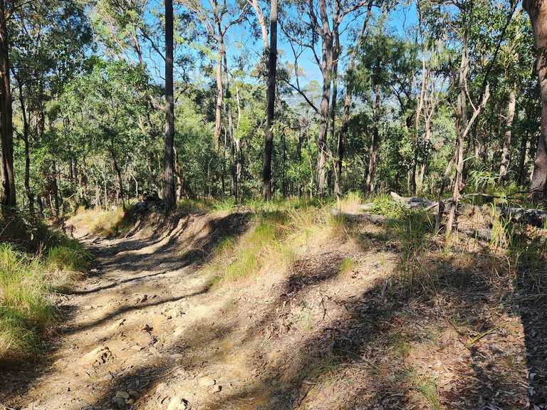 Yarrayne Firebreak Road – Routes & How to Get There | Komoot